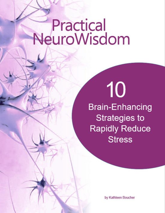 Series: Practical NeuroWisdom – Van Buren Publishing