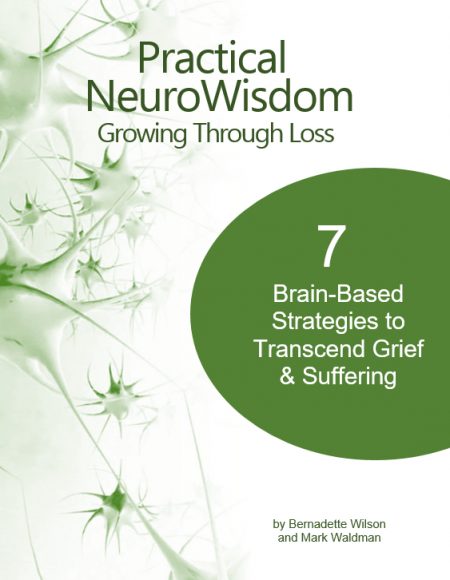 Series: Practical NeuroWisdom – Van Buren Publishing